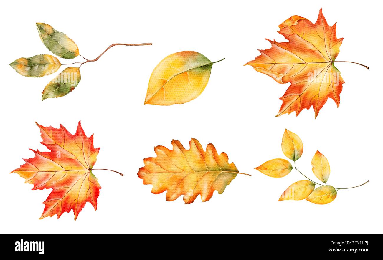 Fall decor clipart Cut Out Stock Images & Pictures - Alamy