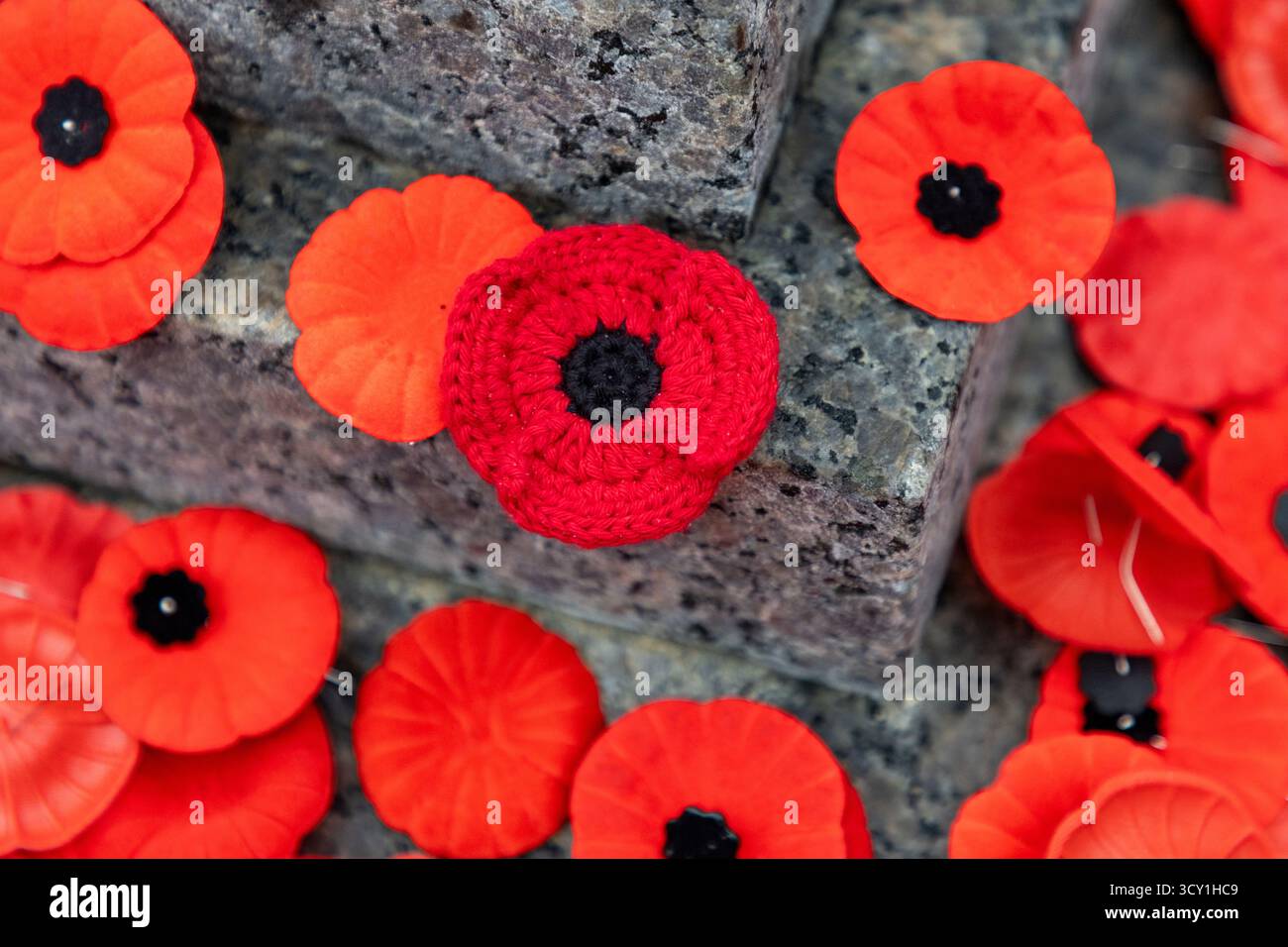 Canadian remembrance hi-res stock photography and images - Alamy