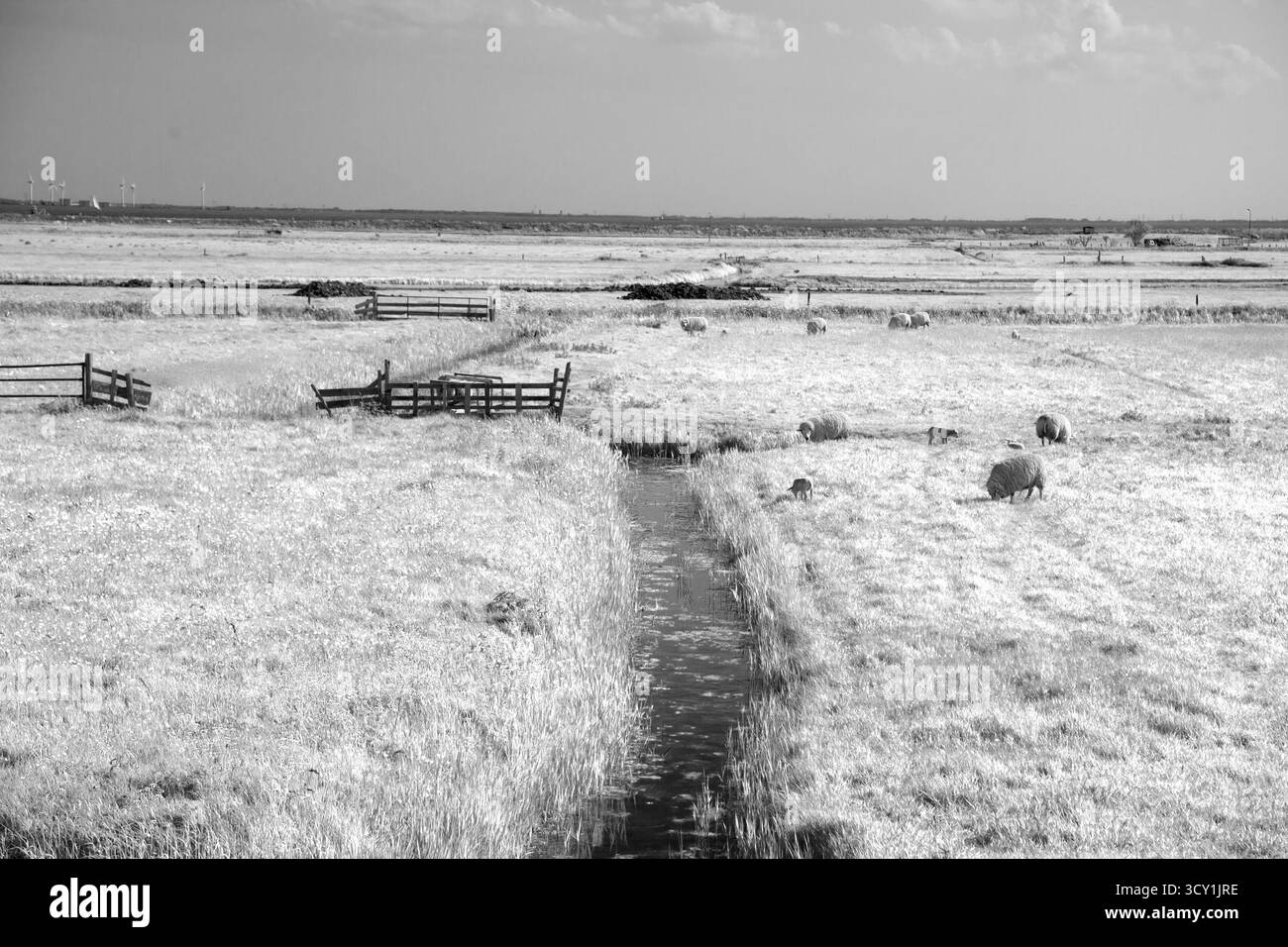 Landscape retro Black and White Stock Photos & Images - Alamy