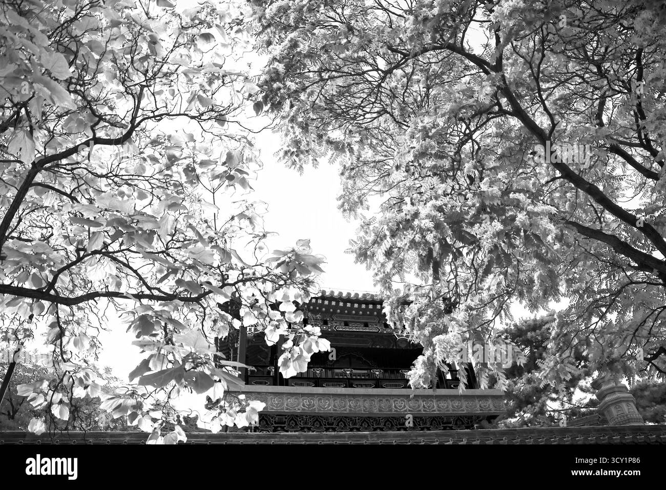 Chinese traditional blue white Black and White Stock Photos & Images ...