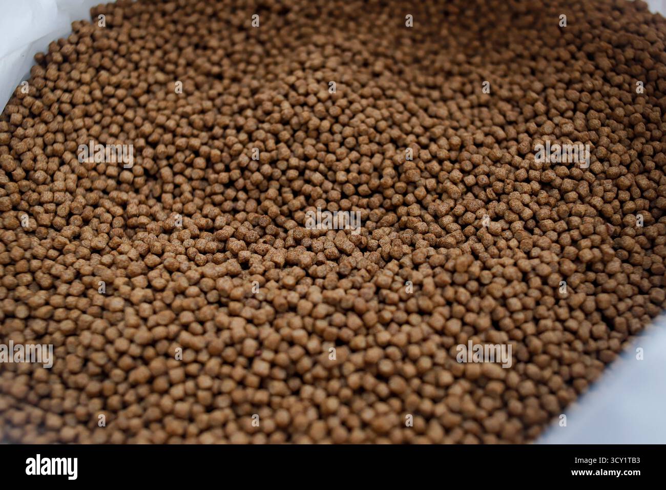 Premium Fish Feed Pellets in Hands – Aquaculture Nutrition Stock Photo ...