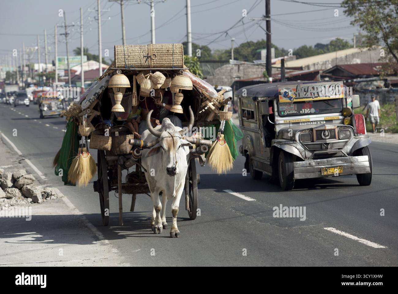 PHL, Cavite, Bacoor, 23.01.2009, Oxcart is overtaken by Jeepney in the ...