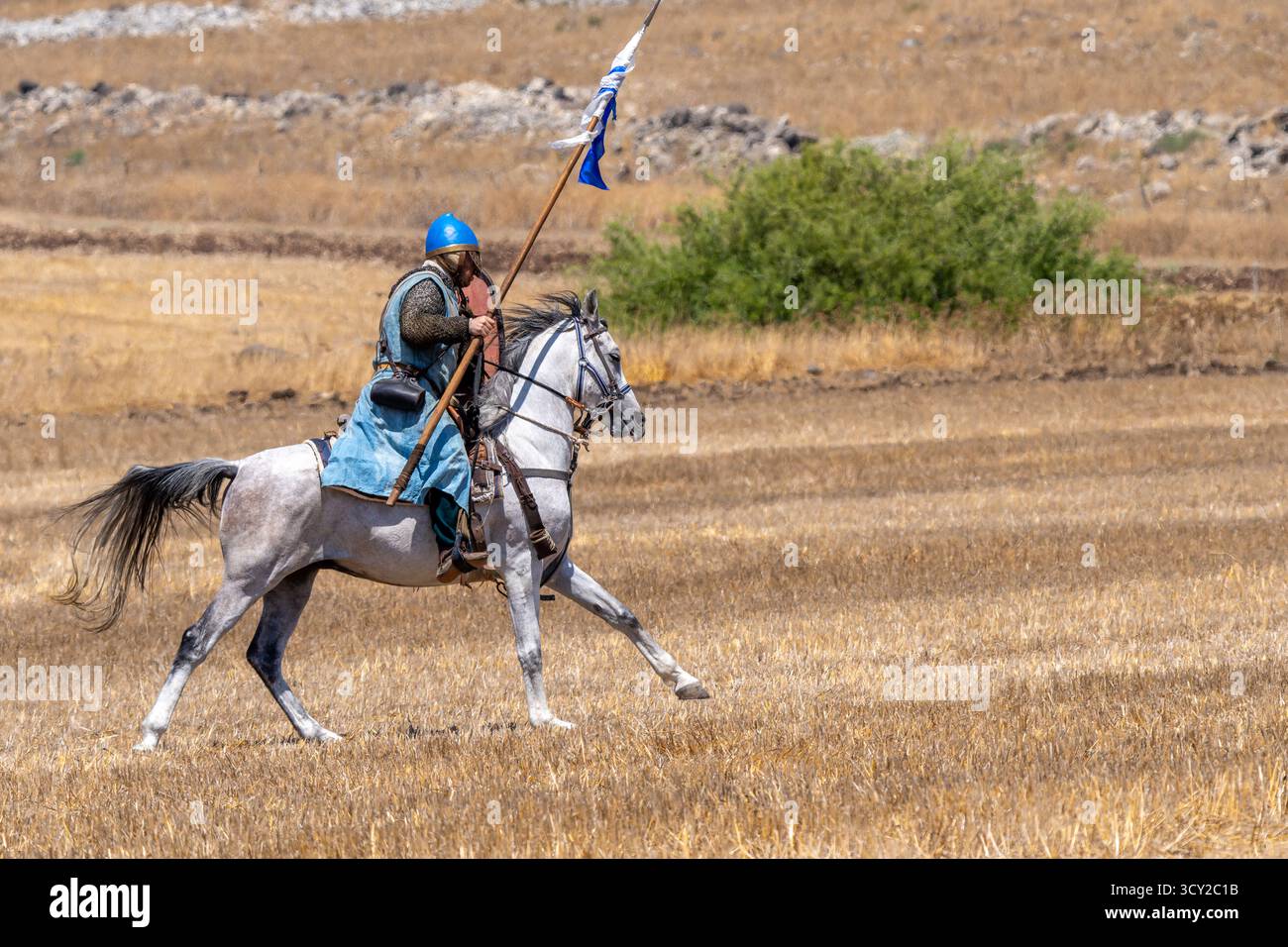 Medieval knight in a field hi-res stock photography and images - Alamy