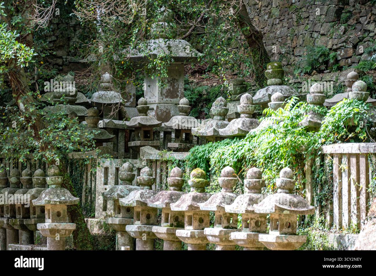 Cemetery of Soh Clan, Bansho-in Temple, Tsushima,Japan Stock Photo - Alamy