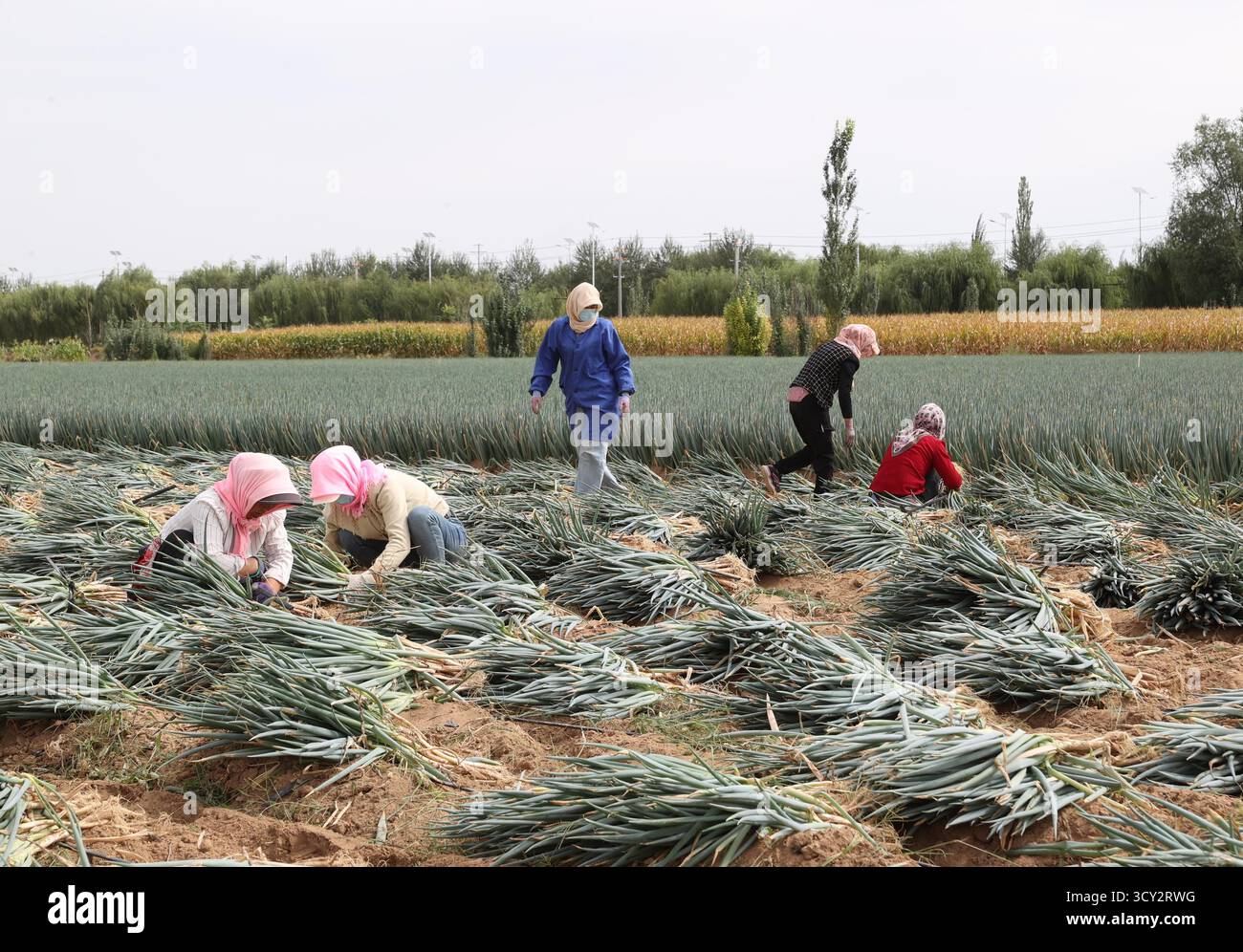 **CHINESE MAINLAND, HONG KONG, MACAU AND TAIWAN OUT** Aerial photo ...