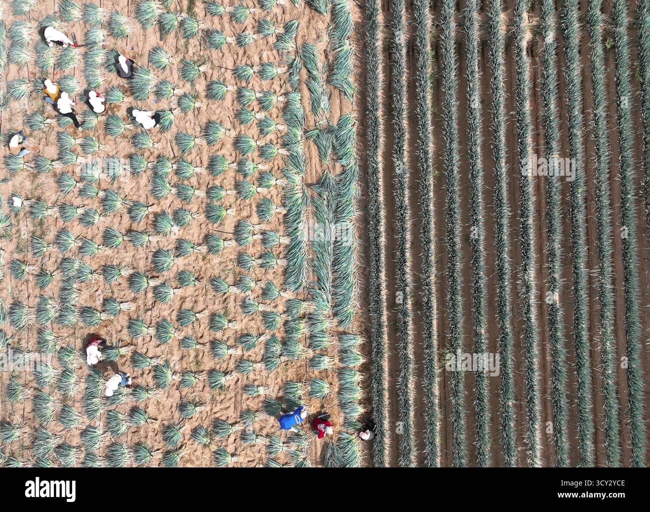 **CHINESE MAINLAND, HONG KONG, MACAU AND TAIWAN OUT** Aerial photo ...