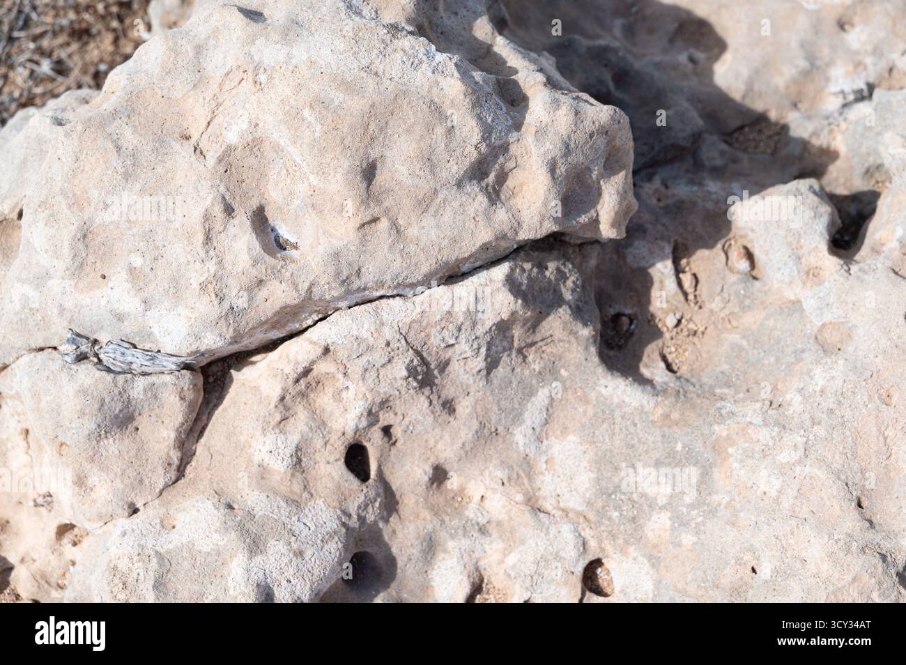 Closeup of porous limestone rock pitted and weathered coastal stone ...