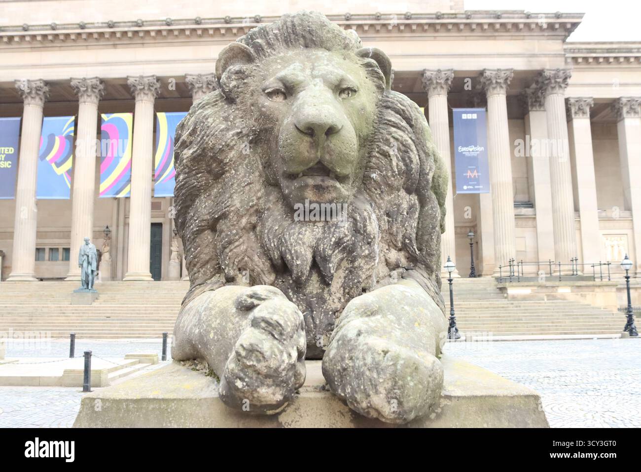 Lion sander hi-res stock photography and images - Alamy