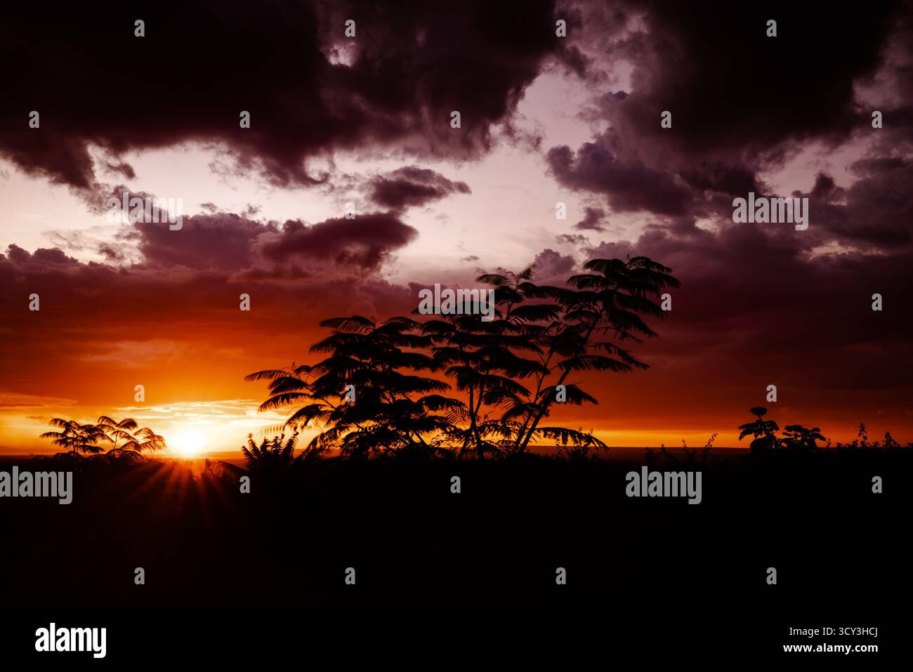 Kenyan huts sunset hi-res stock photography and images - Alamy