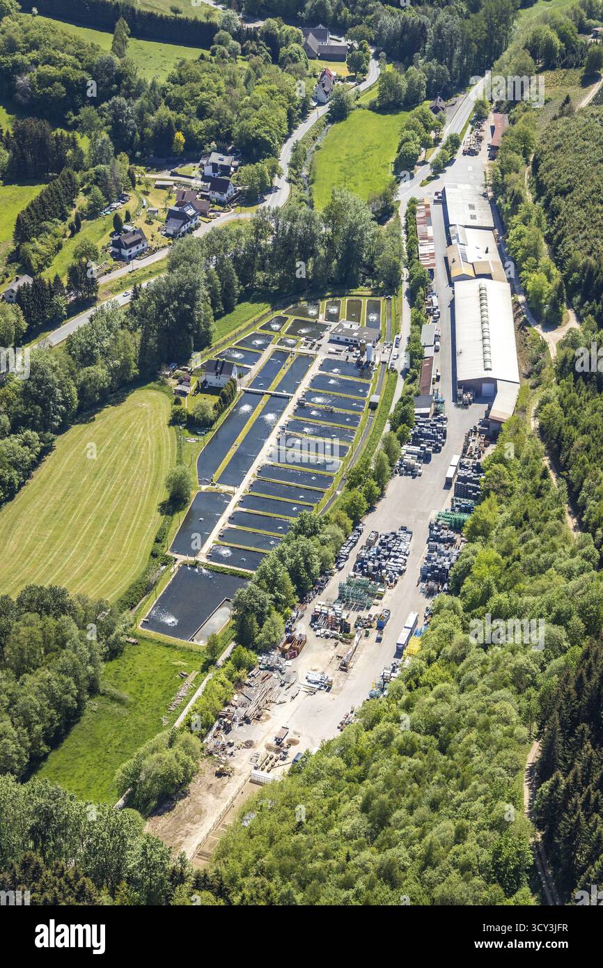 Aerial photo, district Muellen, Rameil trout farm, Finnentrop ...