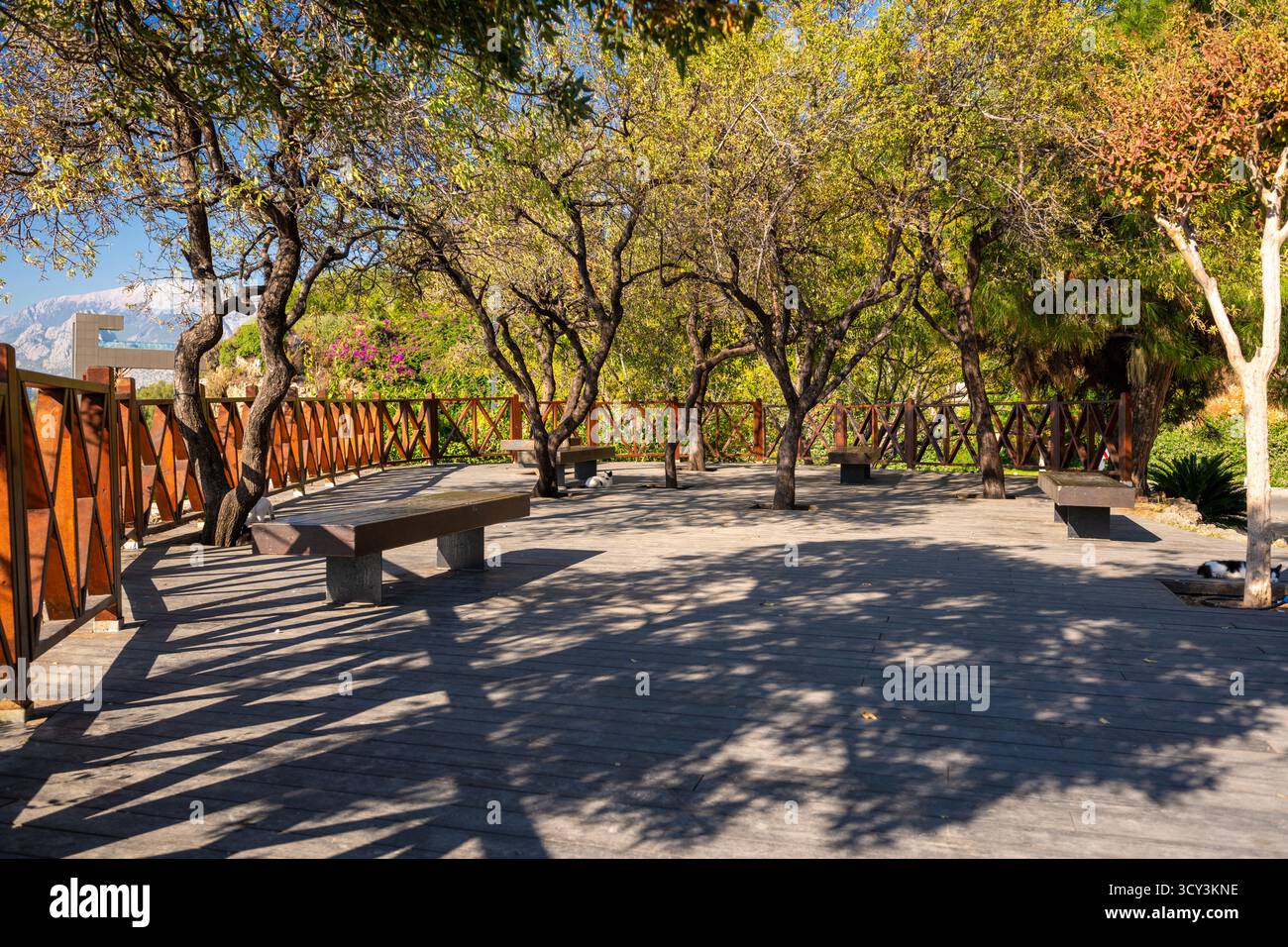 Outdoor wooden terrace under hi-res stock photography and images - Alamy