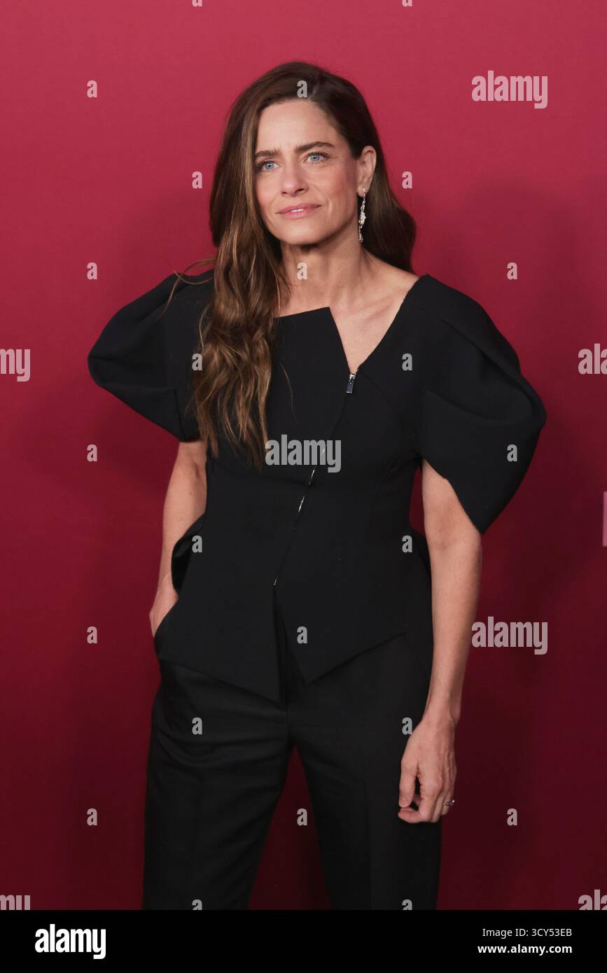 Los Angeles, USA. 17th Oct, 2025. Amanda Peete attends the world ...