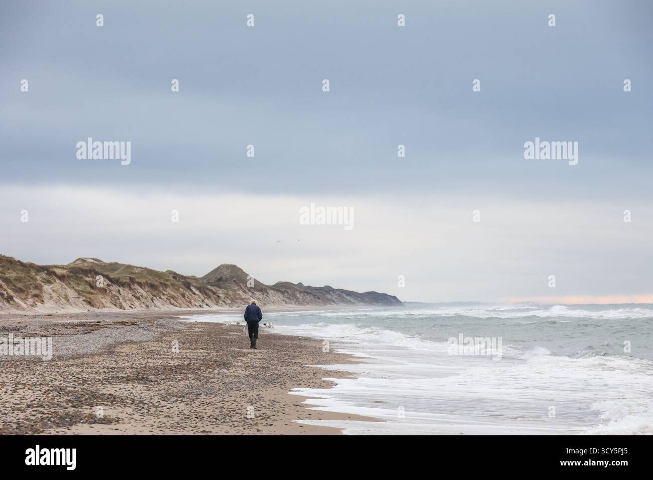 Person walking alone on a windy North Sea beach in Denmark under a ...