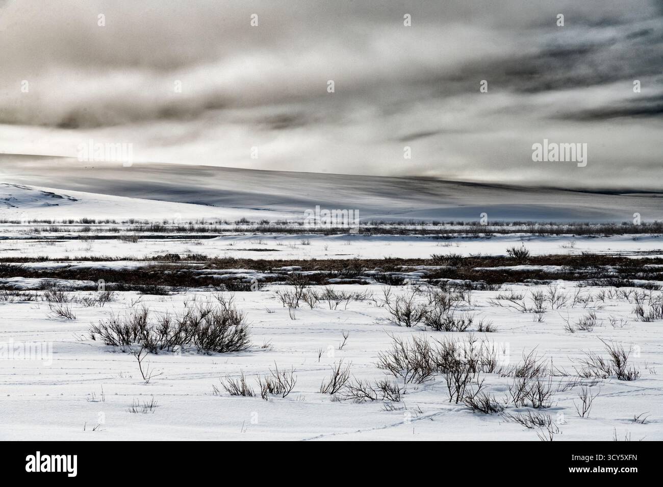 North America; United States; Alaska; Brooks Range, Arctic; Arctic ...