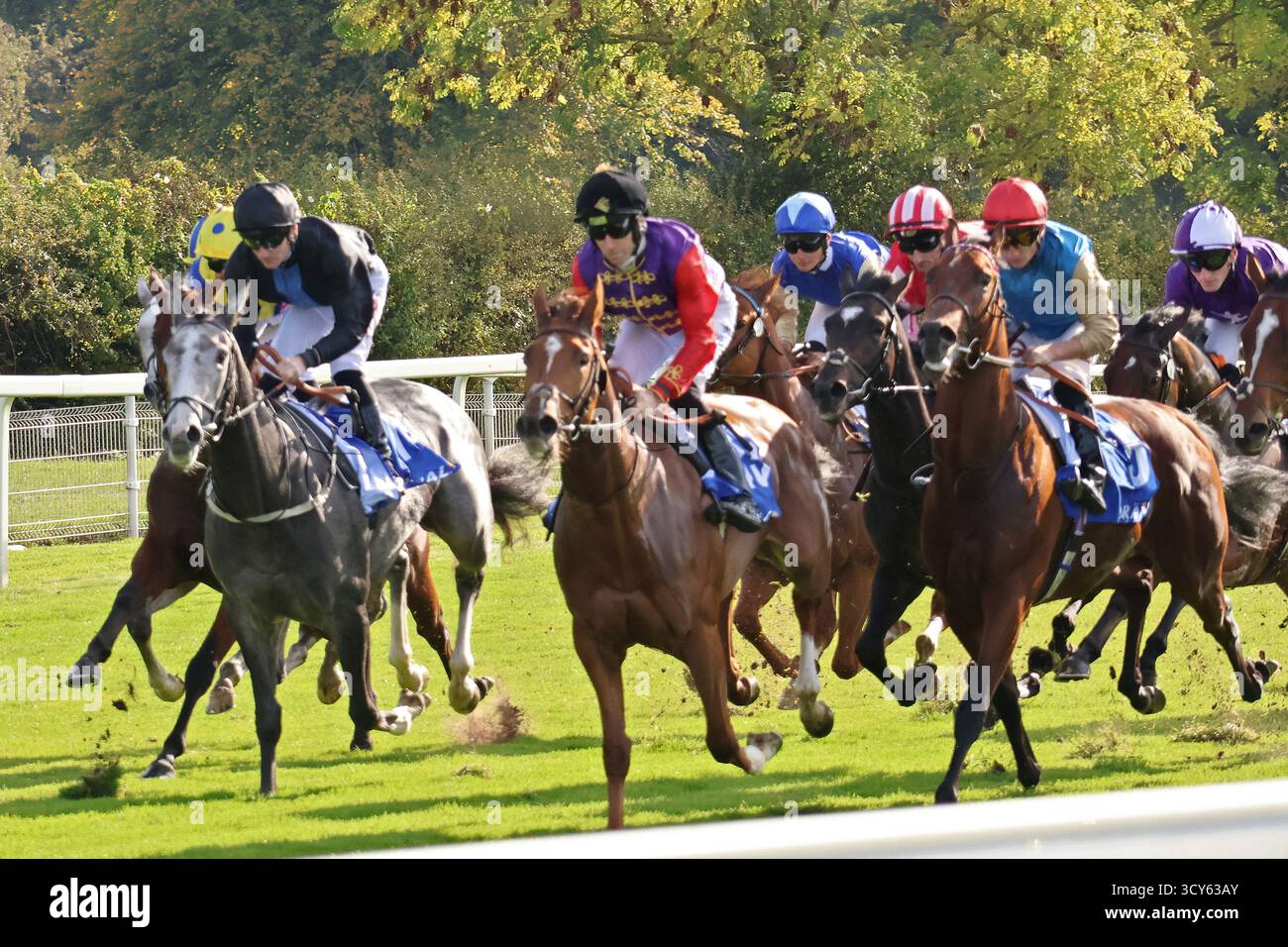 Coral Rockingham Stakes 6f York 11 October 2025 Stock Photo - Alamy