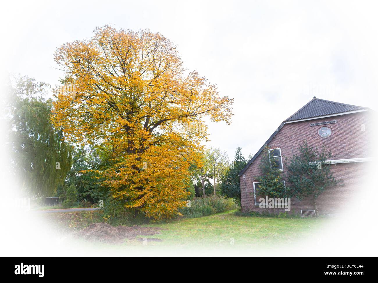 Picturesque leaves Cut Out Stock Images & Pictures - Alamy