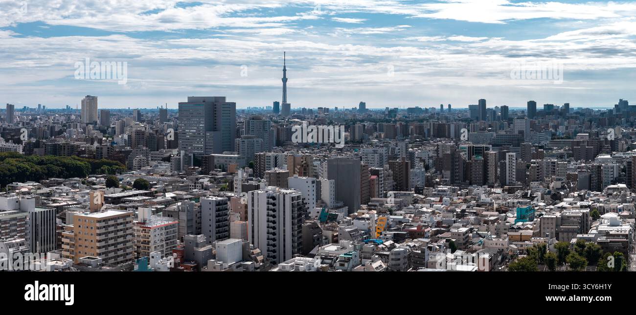 Aerial daytime panorama of Tokyo with Tokyo Skytree centered Stock ...