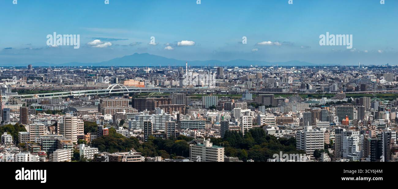 Aerial daytime panorama of Tokyo with white arch bridge and ferris ...