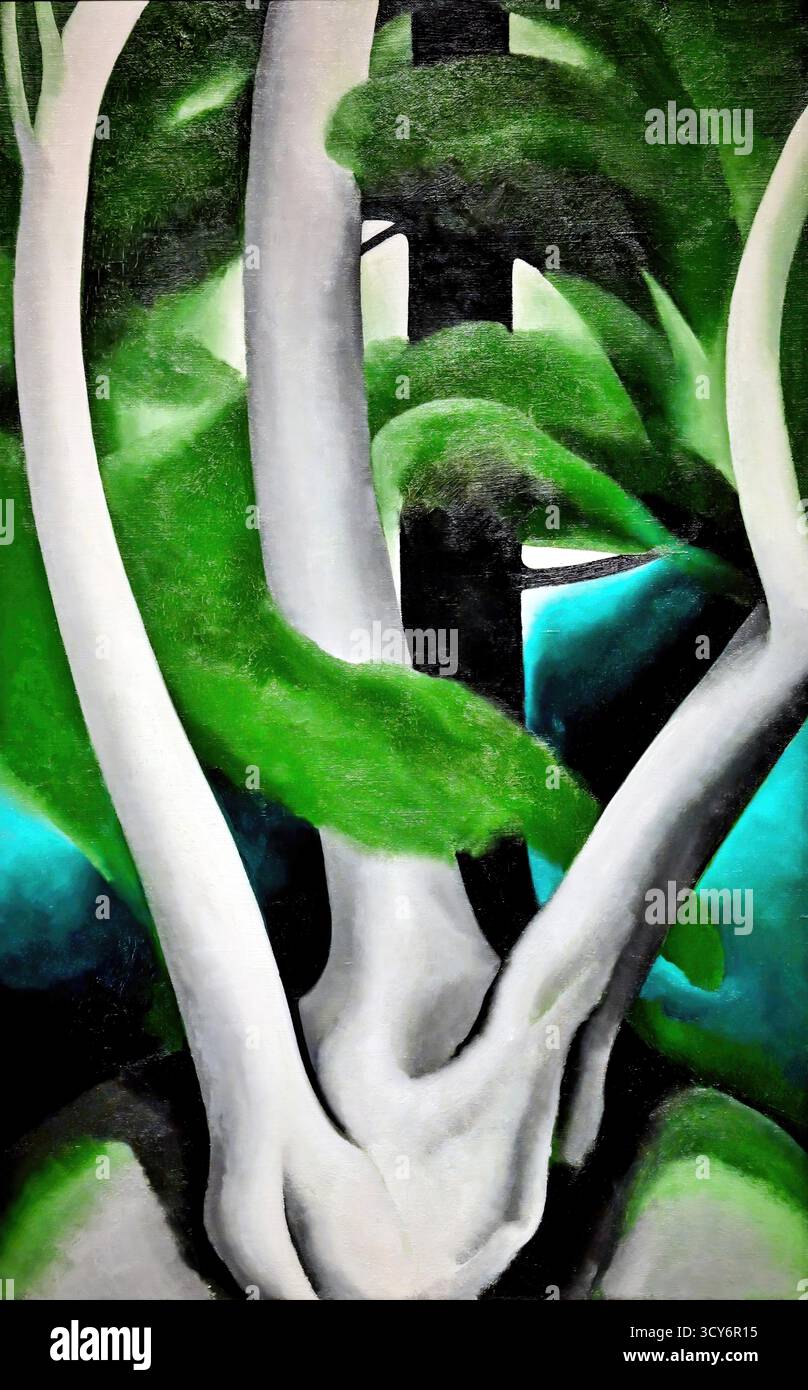 Pine tree stock Stock Vector Images - Alamy