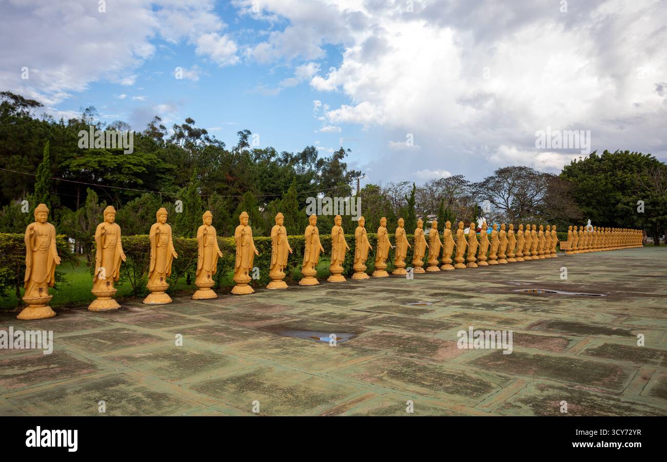 A seemingly endless row of identical golden Buddha statues creating a ...