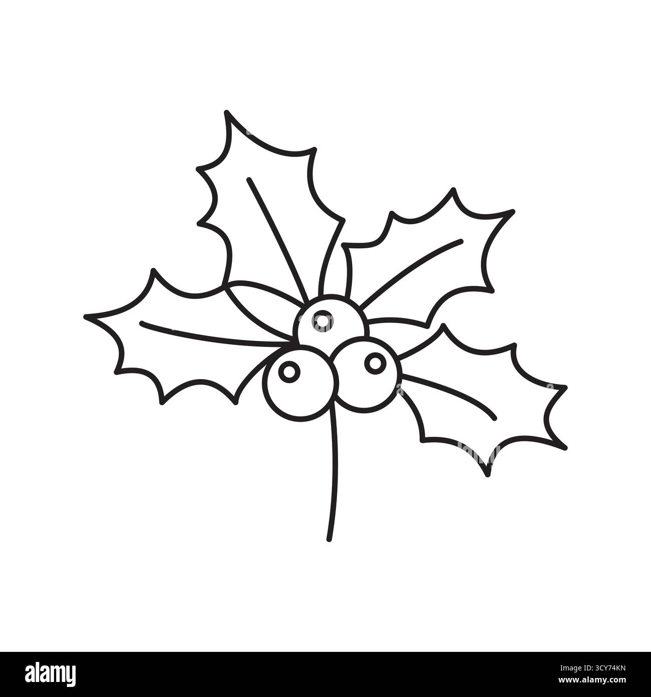 Holly Leaf Outline Drawing with Berries for Christmas Decoration Stock ...