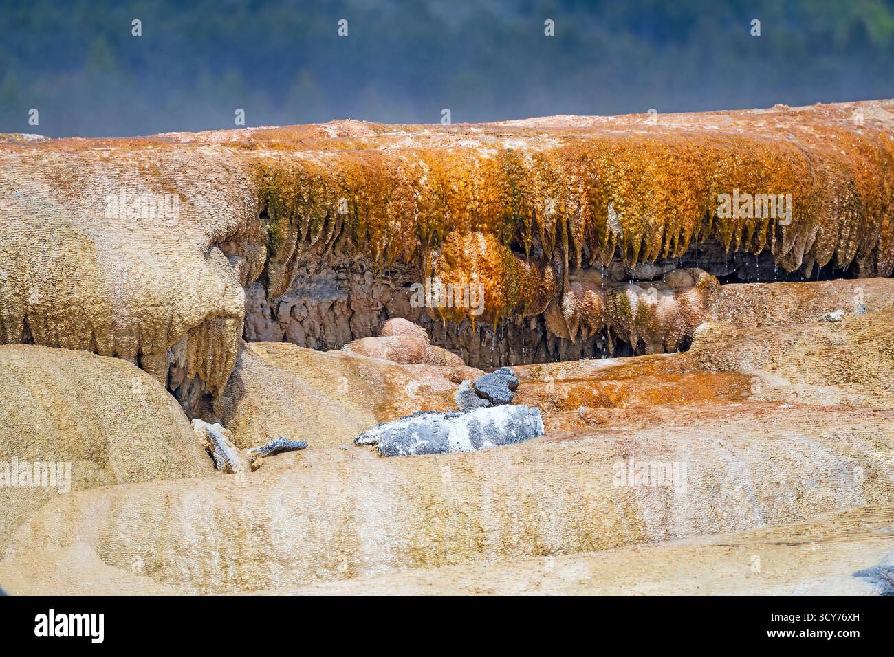 Close up Details of a Travertine Formation in Mammoth Hot Springs in ...