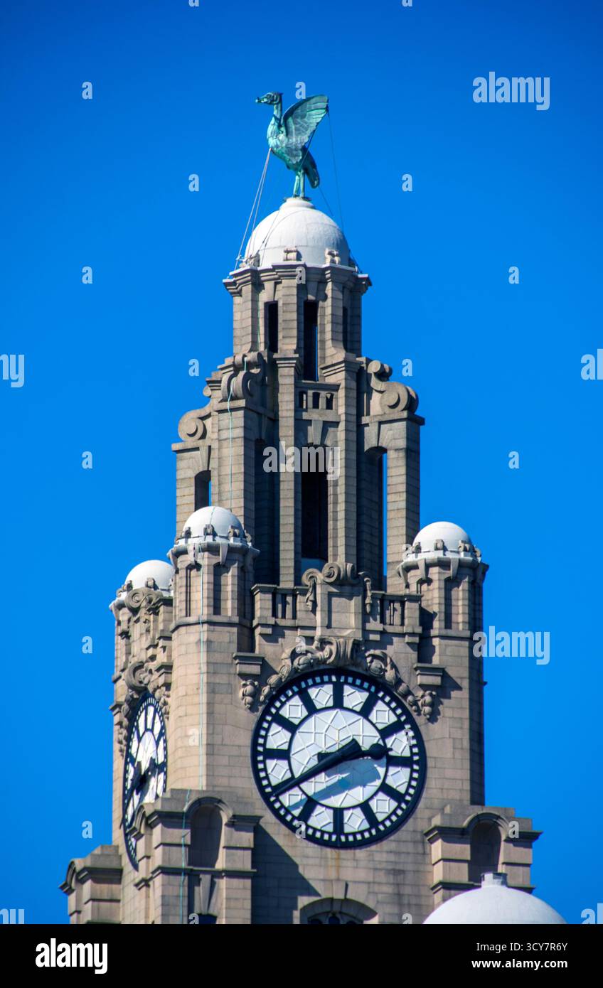 The Liver bird which is symbol of Liverpool , its sculpture sit on top ...