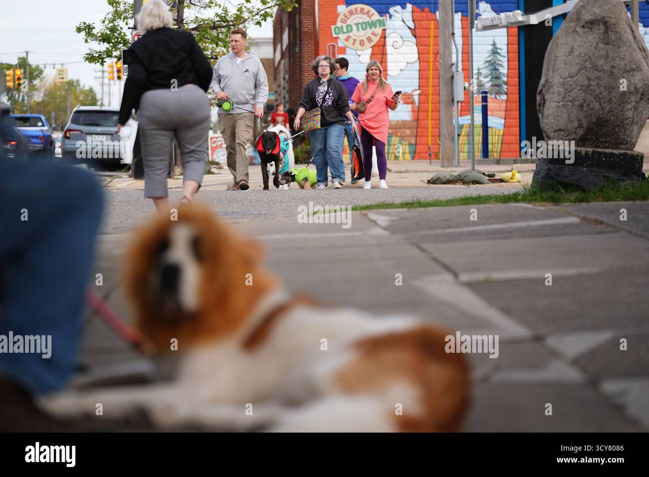 Visitors walk their dogs during an event for dog trick-or-treating at ...