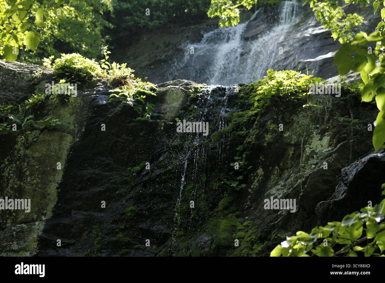 View of the spectacular Apple Orchard Falls in the Blue Ridge Parkway ...