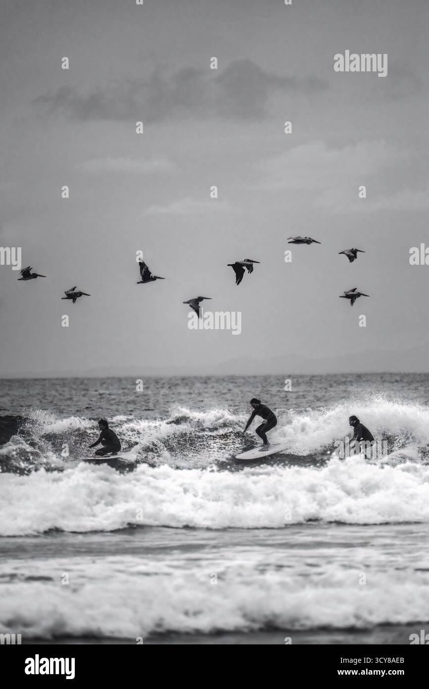 Editorial series capturing candid, high-energy surfing in dynamic ...