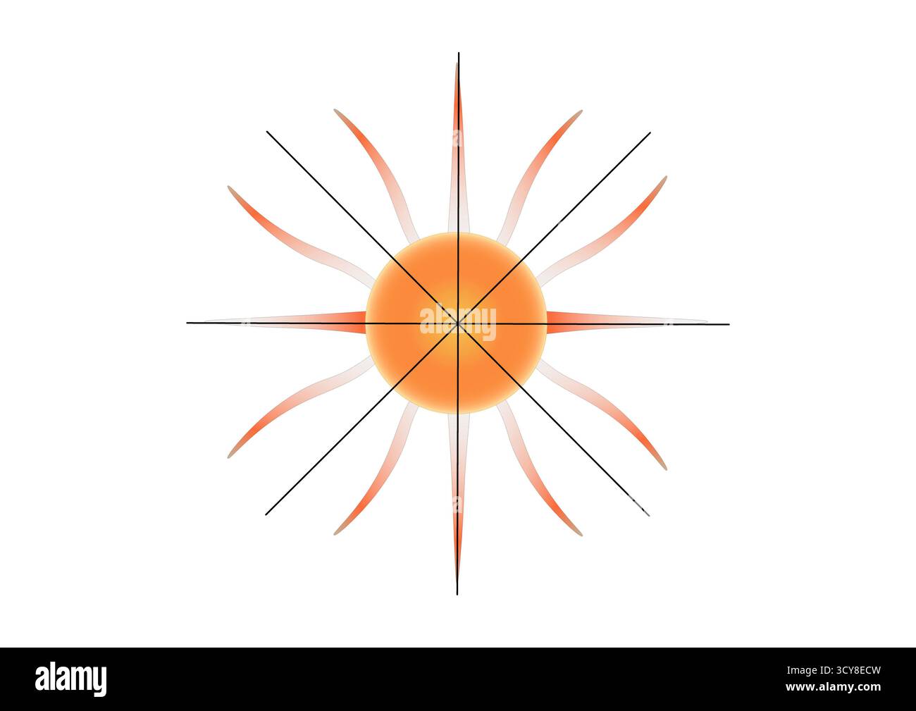 Illustration of radial symmetry, showing an animal body plan in which ...