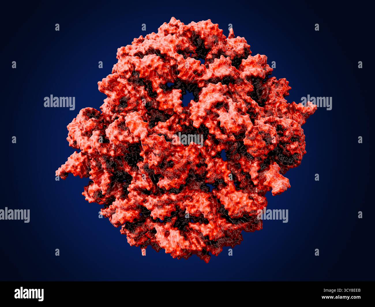 Illustration of hexameric RNA (ribonucleic acid), where six identical ...