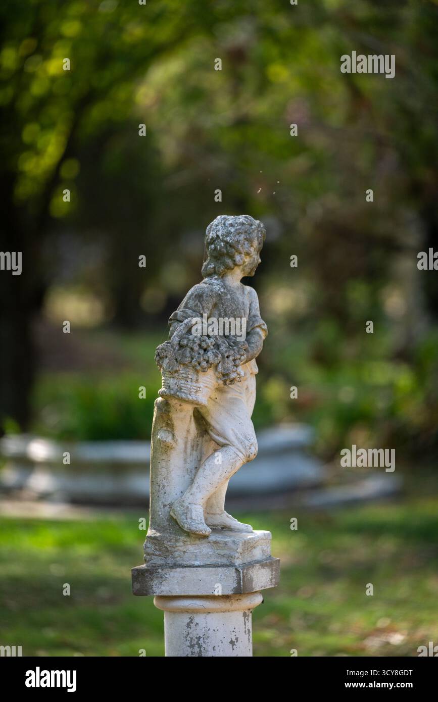 An old garden statue of a child holding grapes stands under the soft ...