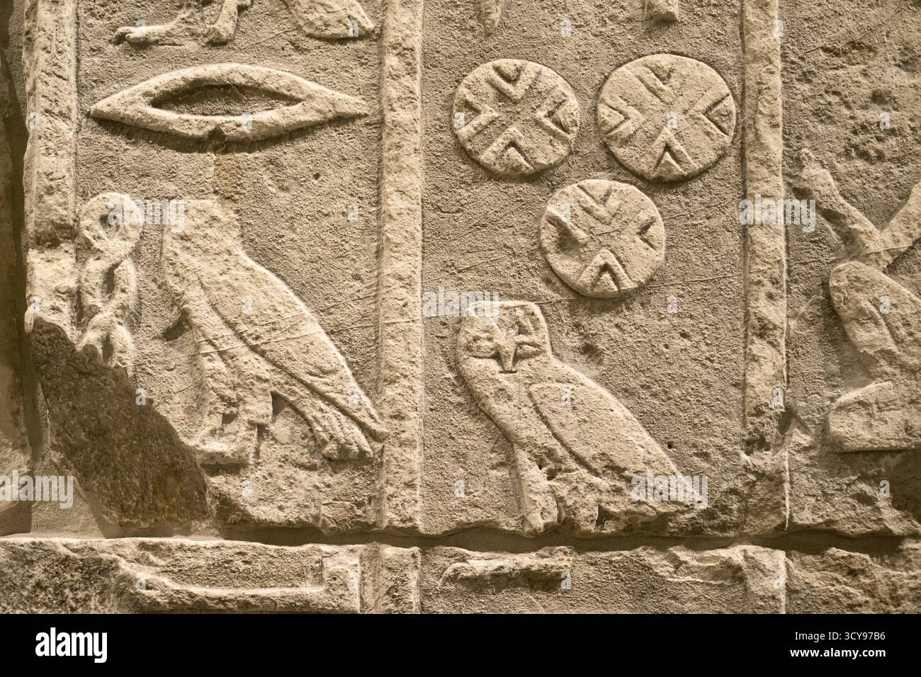 Big wall fragment with carvings of birds and symbols from Ancient Egypt ...