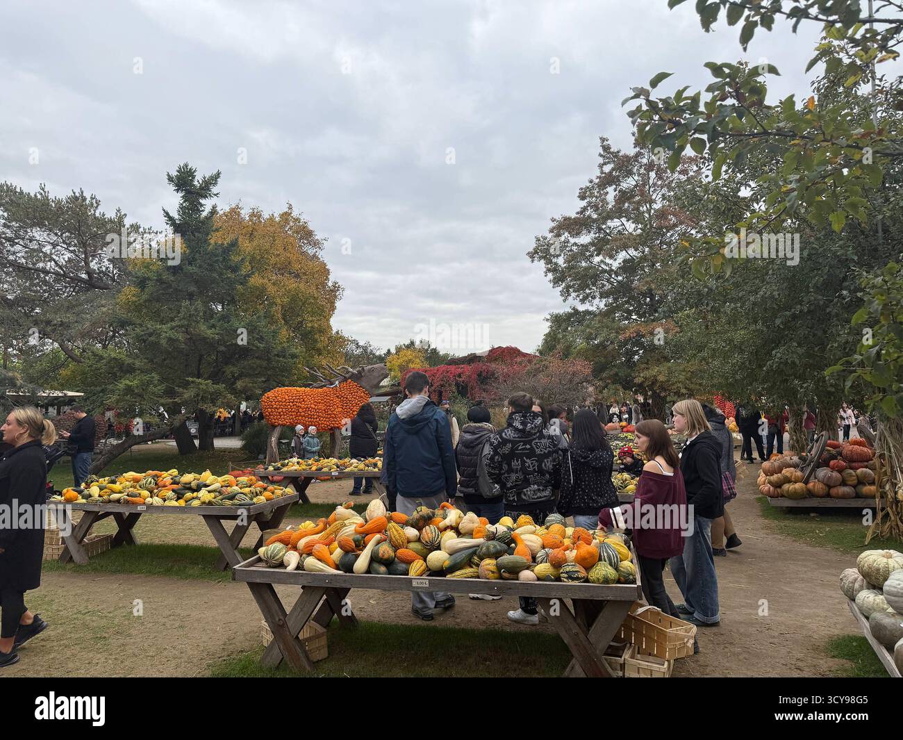 Kürbisparadies beim Bauer Lipp - Weiterstadt 17.10.2025: Halloween ...