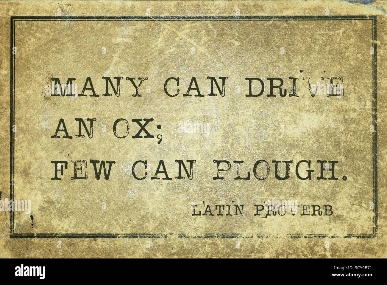 Many can drive an ox, few can plough - ancient Latin proverb printed on ...