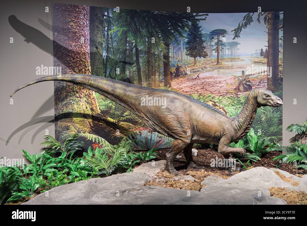 Oradea, Romania - September 27, 2025: Dinosaur exhibition in Cris ...