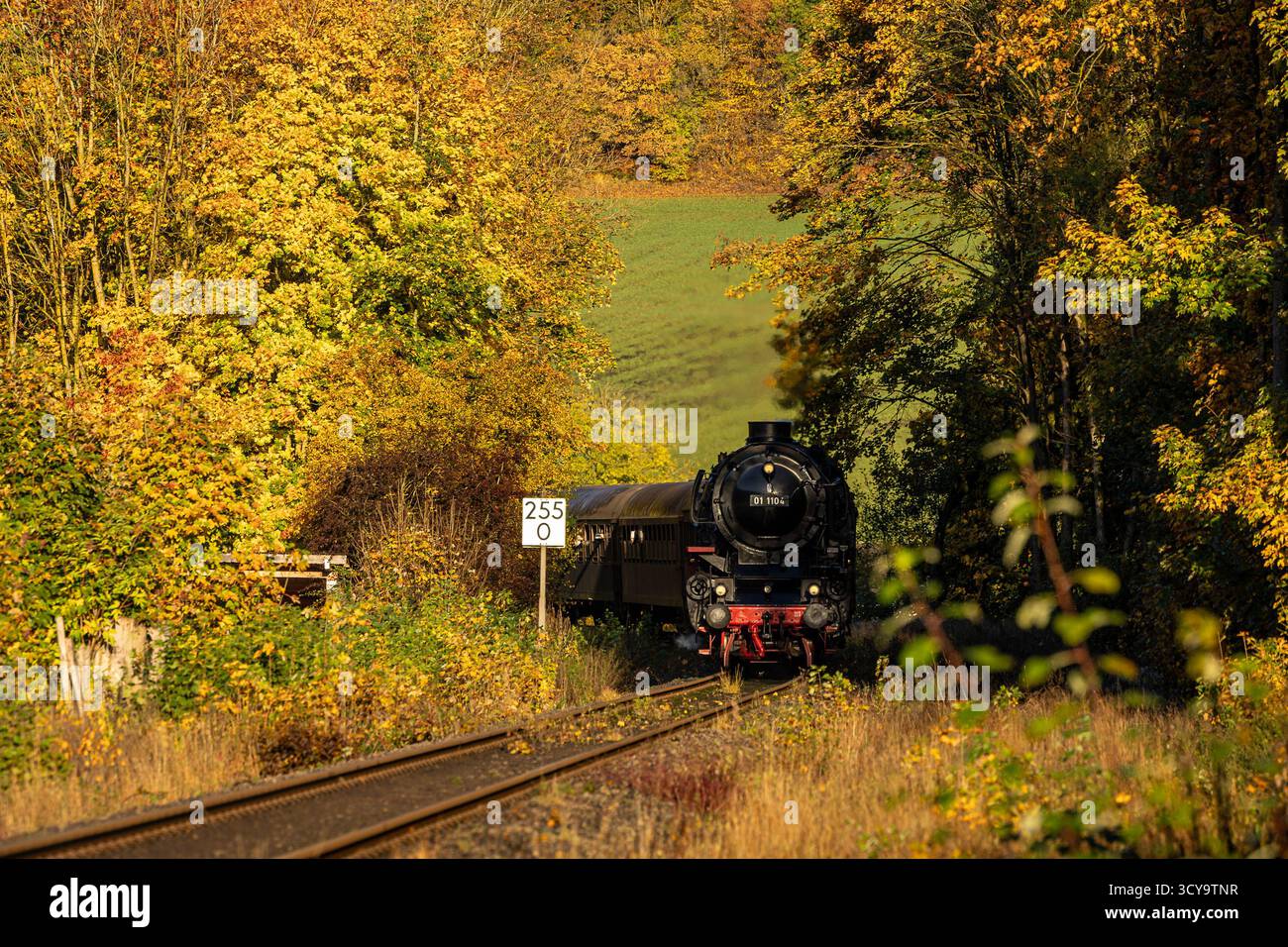 Dampflok nahe Marsberg am 18.10.2025 Sonderzug Schnellzug-Dampflok 01 ...