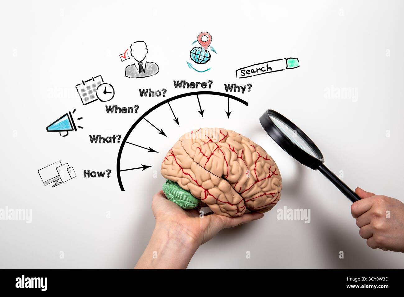 Human brain model with magnifying glass and search concept. Research ...