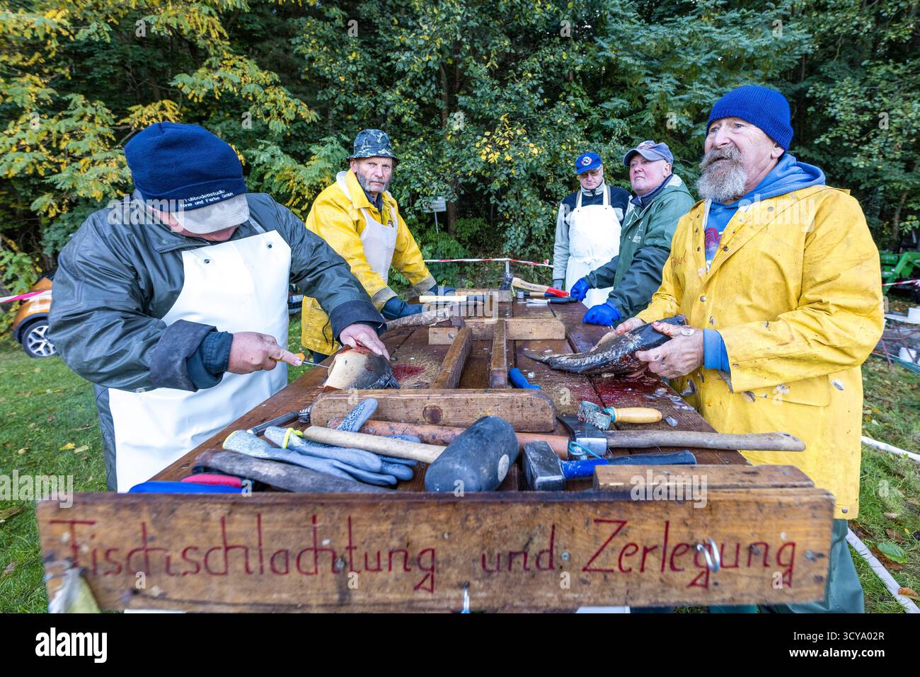 Live fish for slaughter hi-res stock photography and images - Alamy