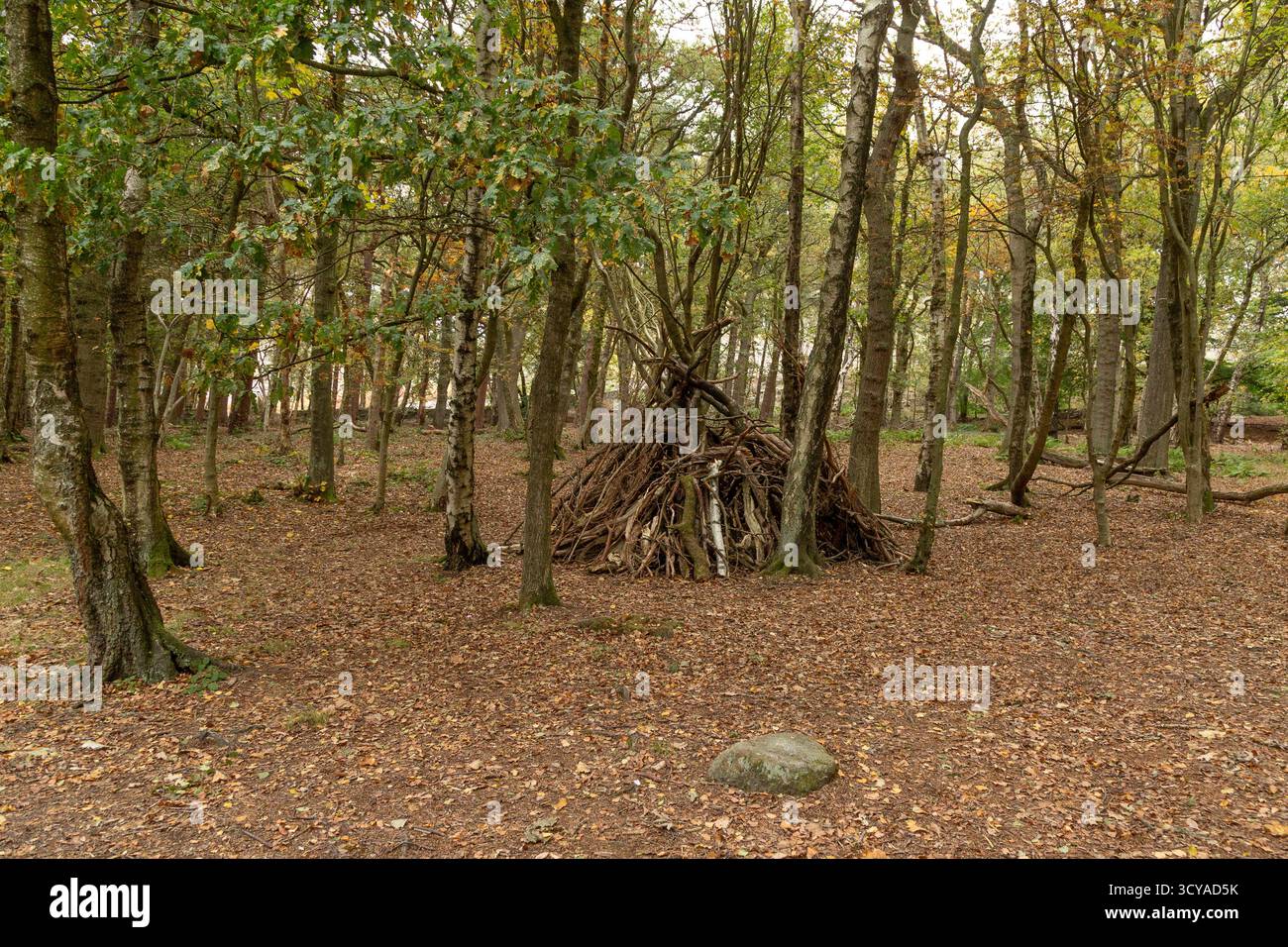 A stick wigwam (tree hut, tree shelter, wooden shelter, den, hideout ...