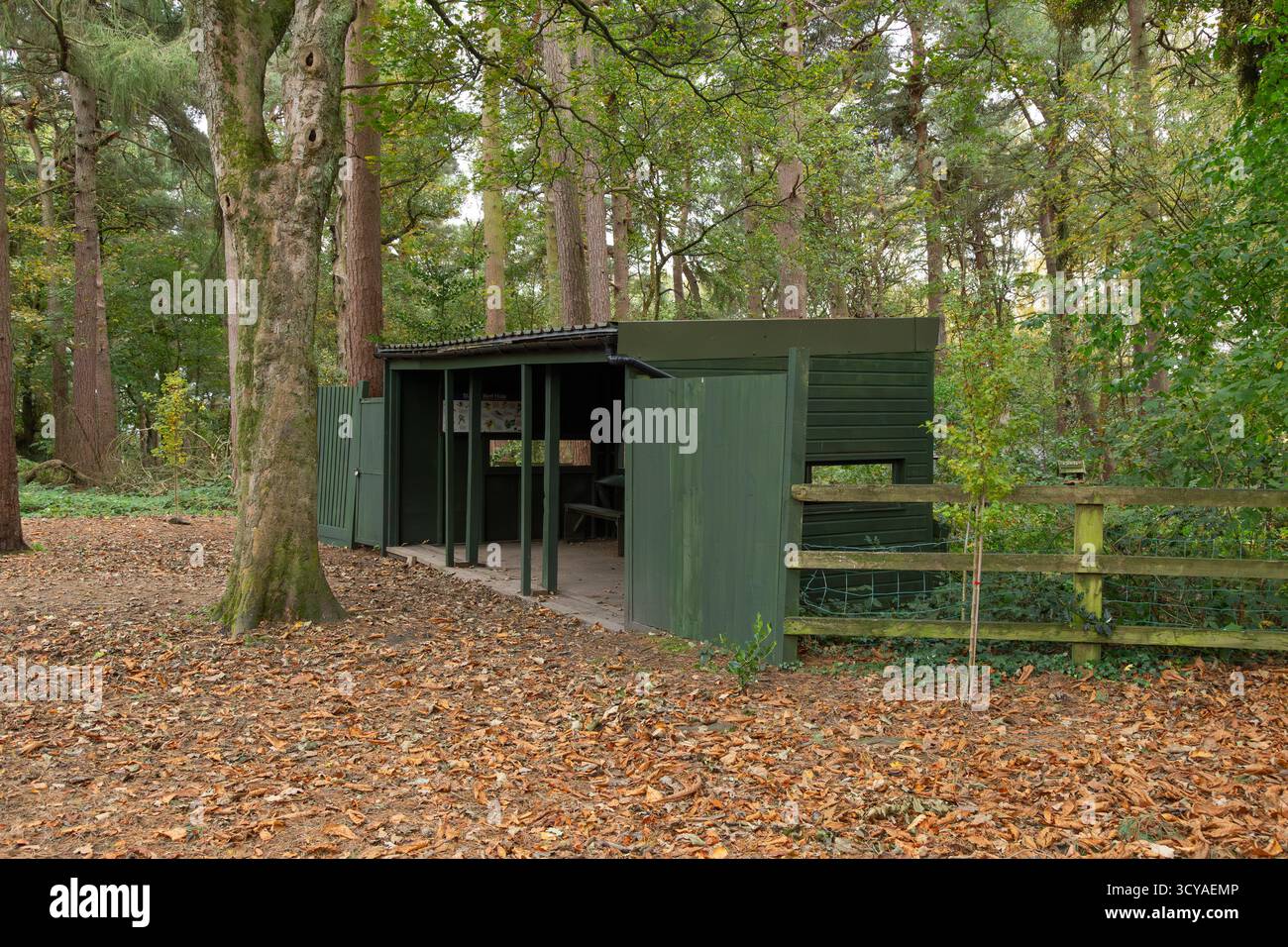 A wooden bird hide in the woods at St Ives Estate, Binlgey Stock Photo ...