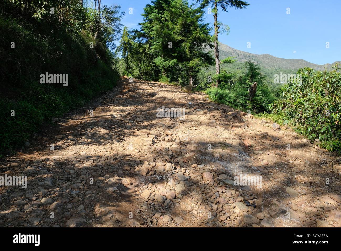 Rocky road to the Mount Ramelau hiking trail Stock Photo - Alamy