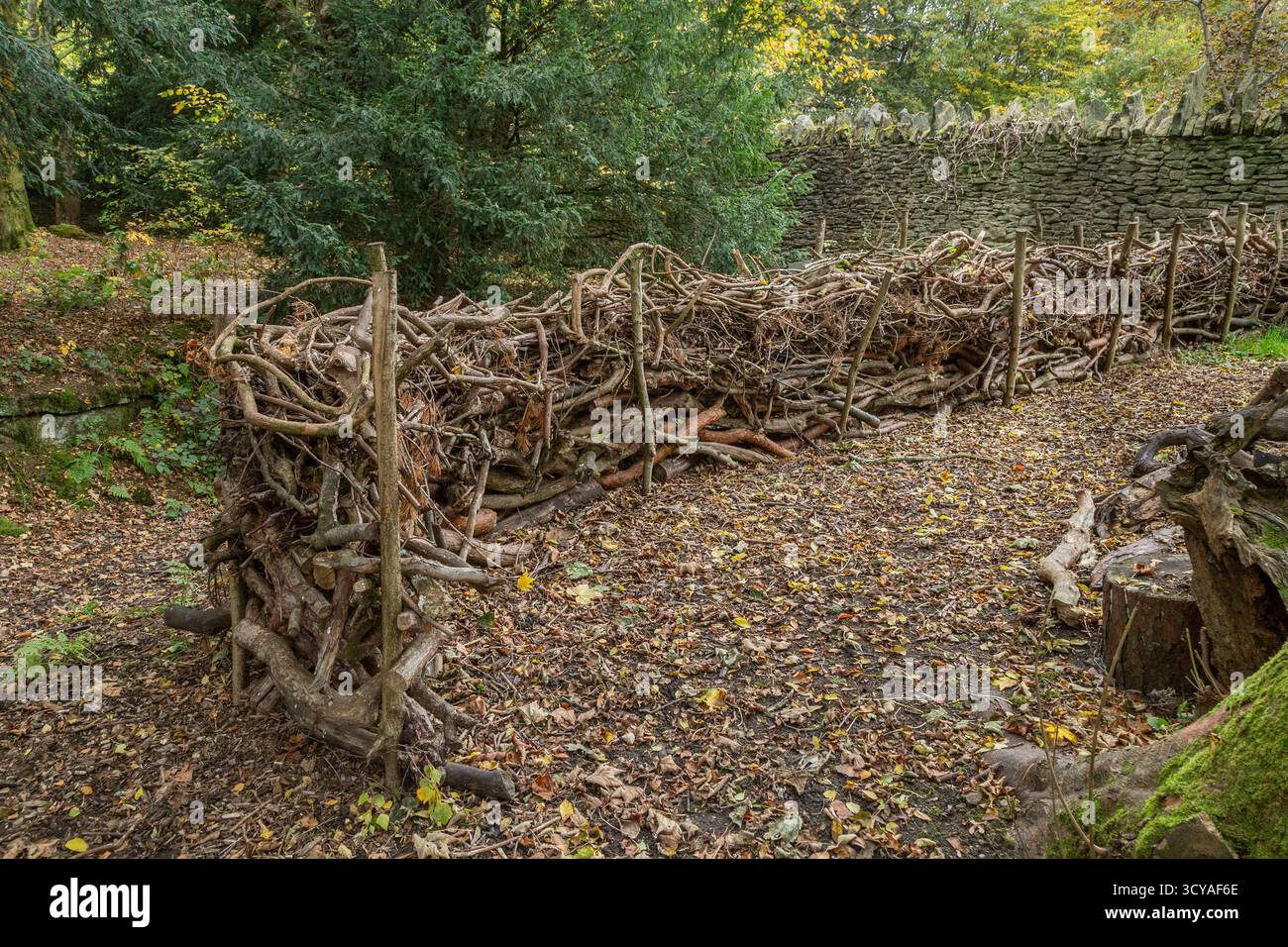 Dead hedge example hi-res stock photography and images - Alamy