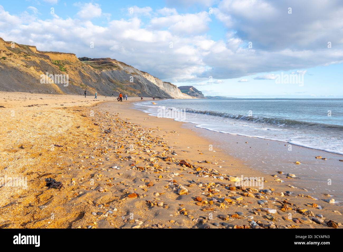 Fossil hunters along the Jurassic coast at Charmouth in late afternoon ...