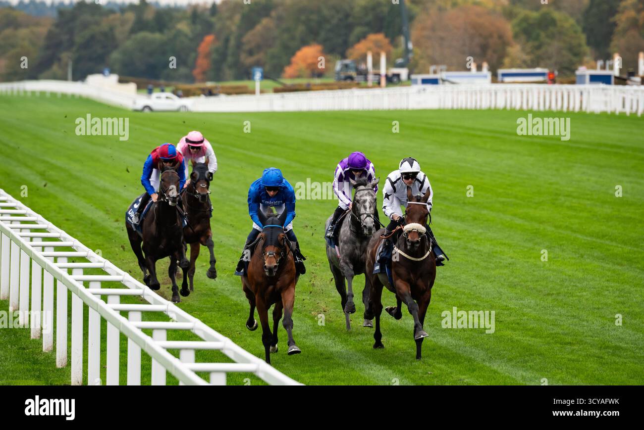 Trawlerman 2025 horse racing hi-res stock photography and images - Alamy