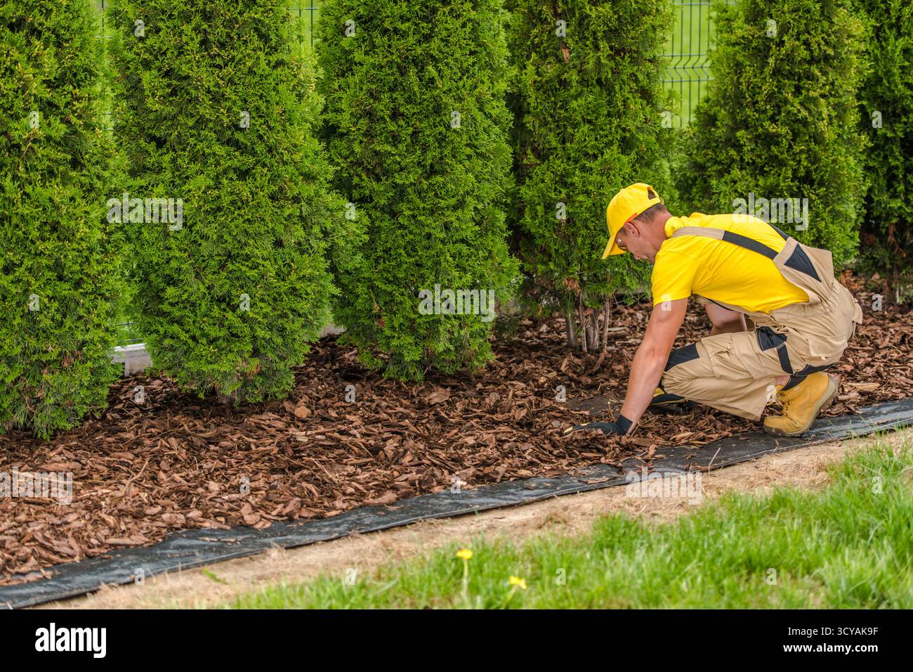 Mulch work around trees hi-res stock photography and images - Alamy