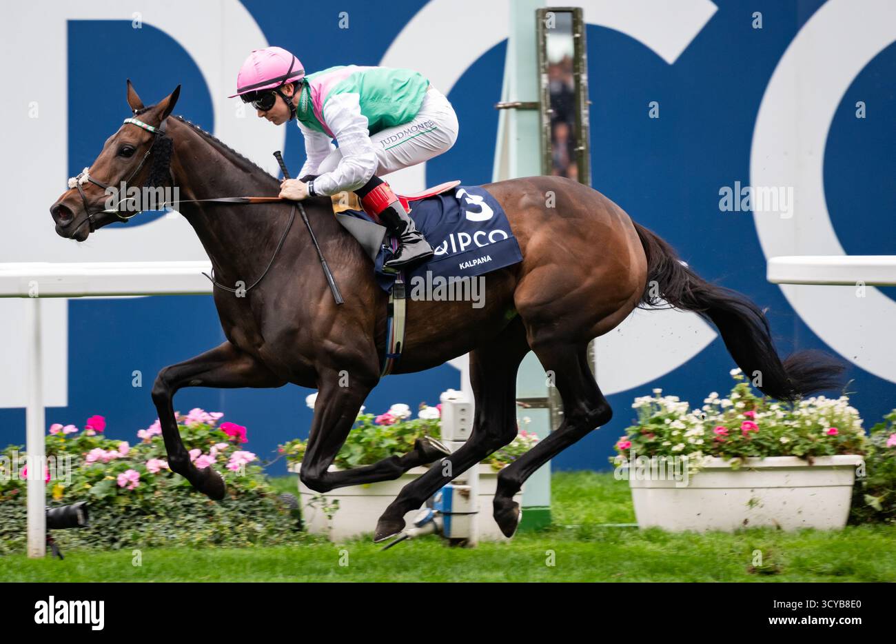 Kalpana champions day 2025 hi-res stock photography and images - Alamy
