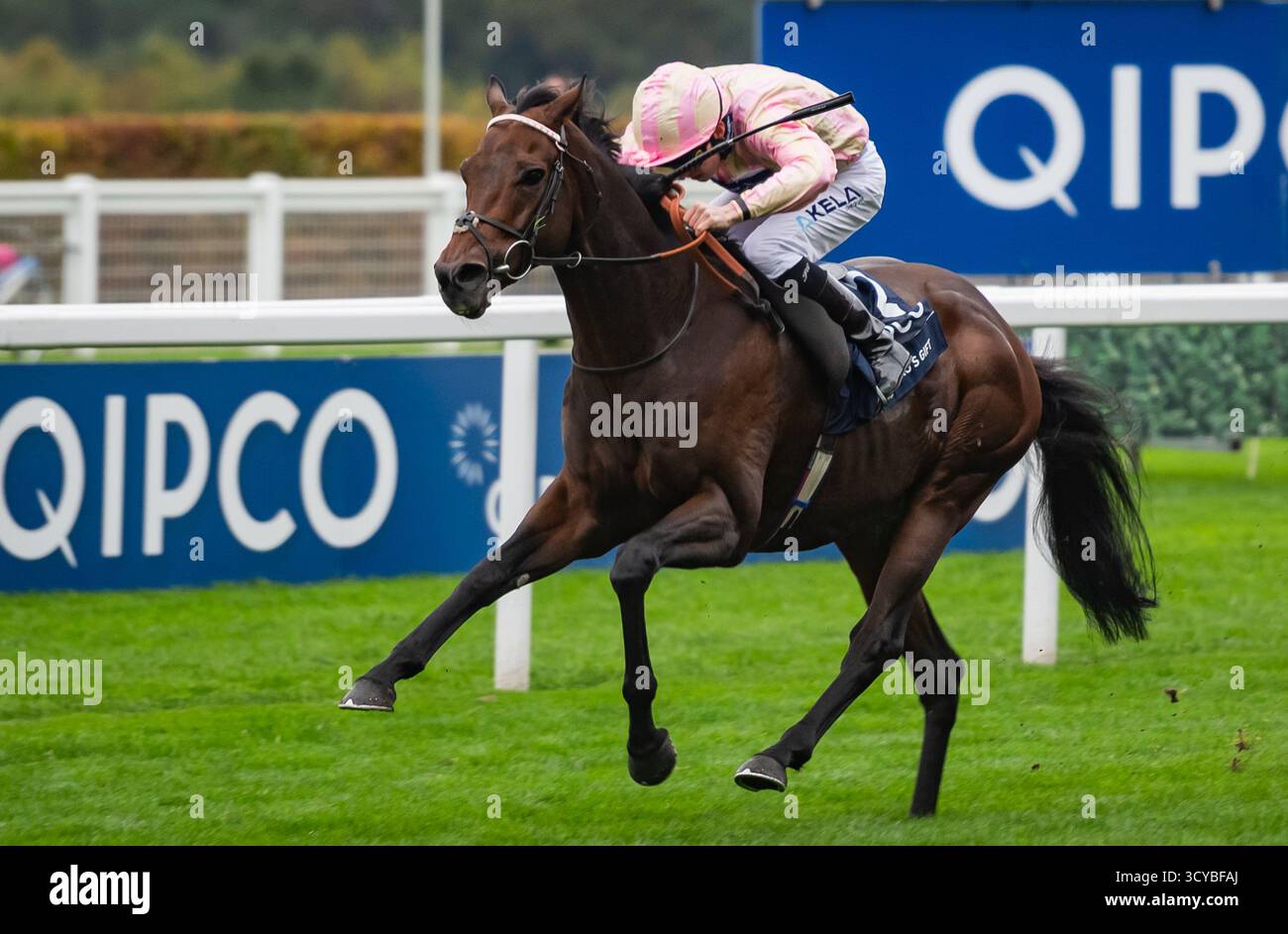 Cicero's gift horse racing hi-res stock photography and images - Alamy