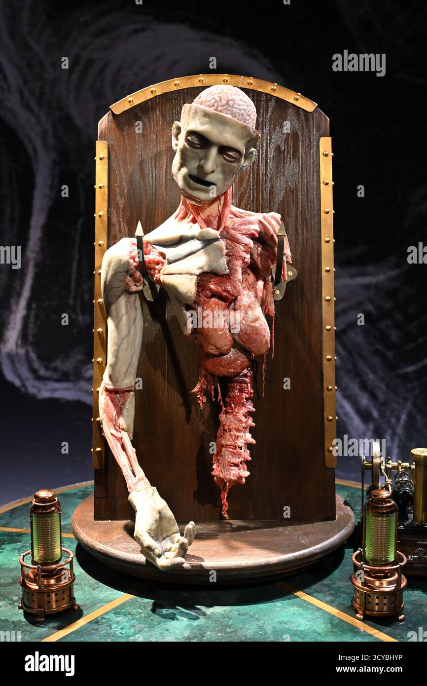 Prop used in the anatomical lecture theatre scene from the film ...